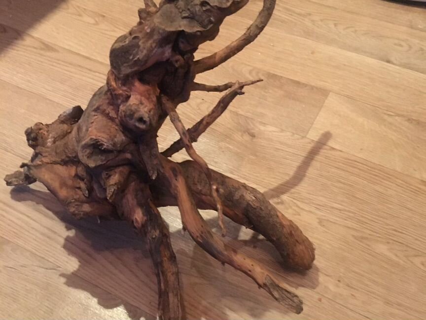 Коряга большая