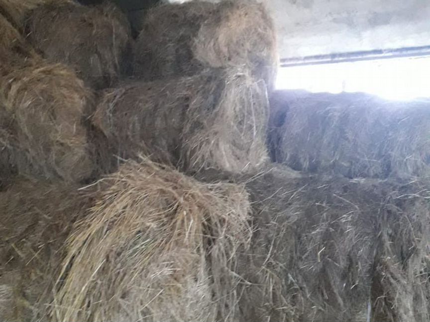 Сено в рулонах