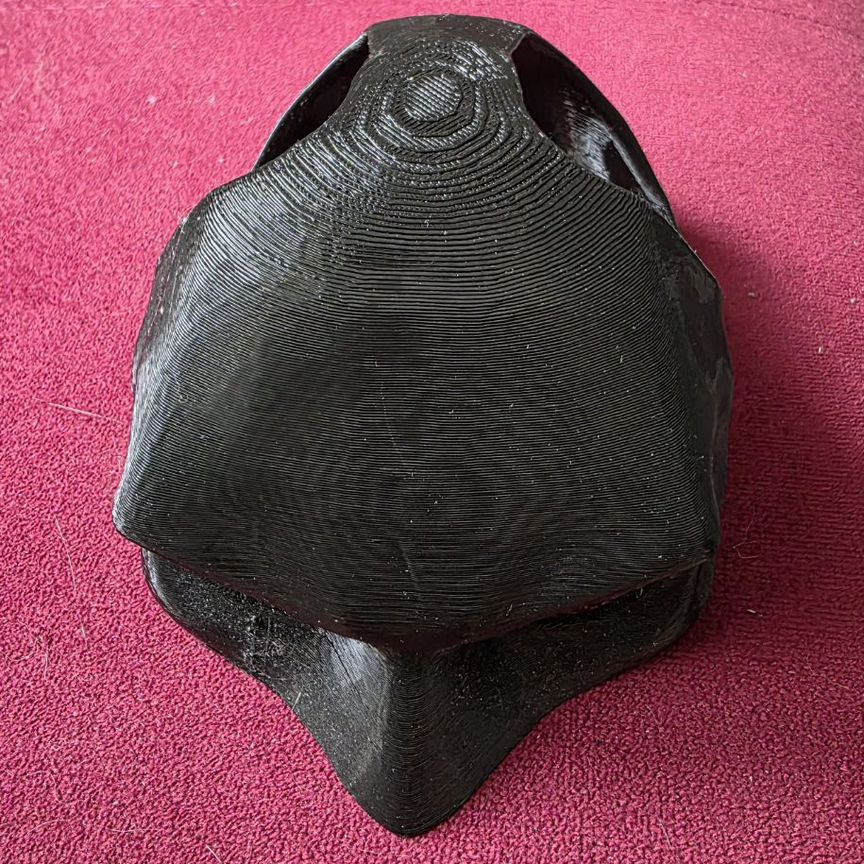 Взрослый кот от частного владельца