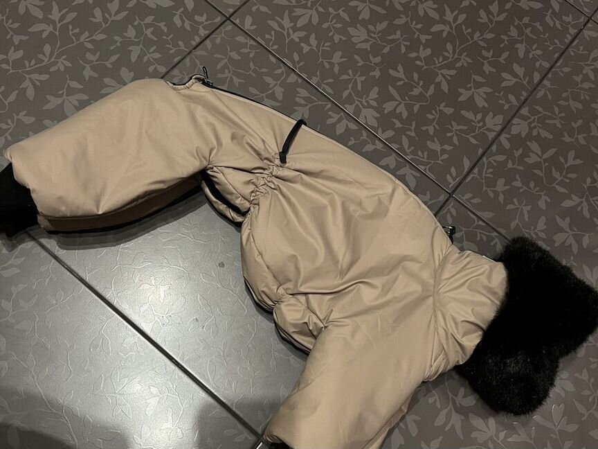 Одежда для левретки