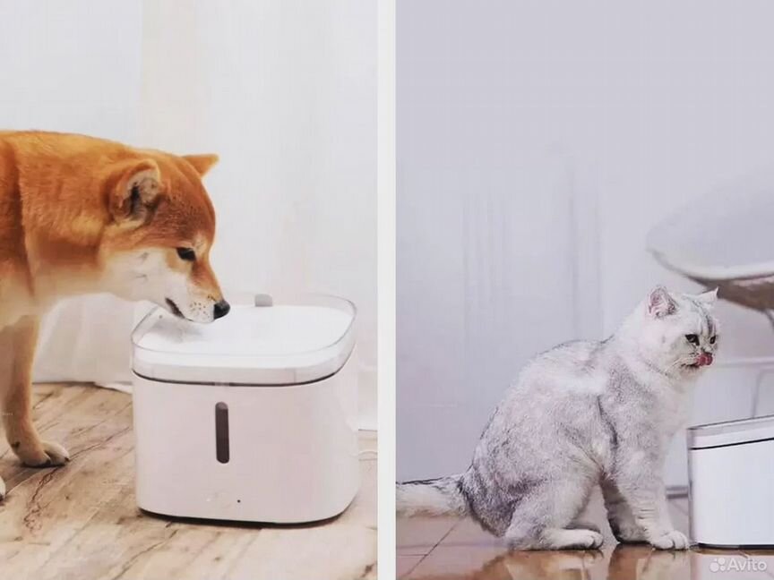 Автопоилка Mijia SMART Pet Water Dispenser 2L (xww