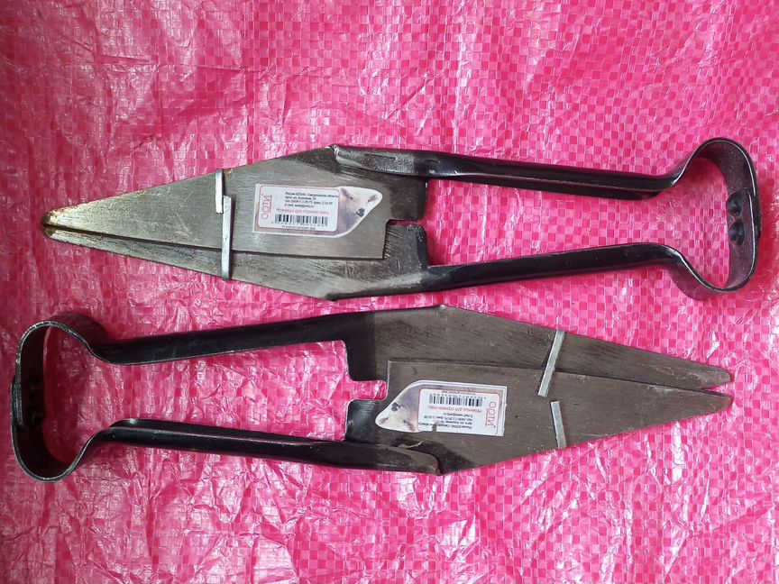 Ножницы для стрижки овец