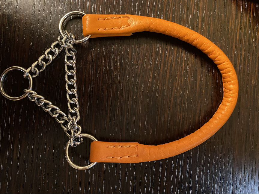 Ошейник и поводок