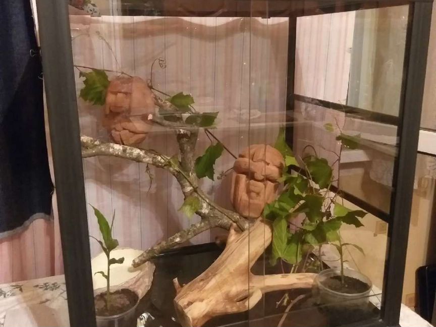 Террариум reptizoo неразборный стеклянный