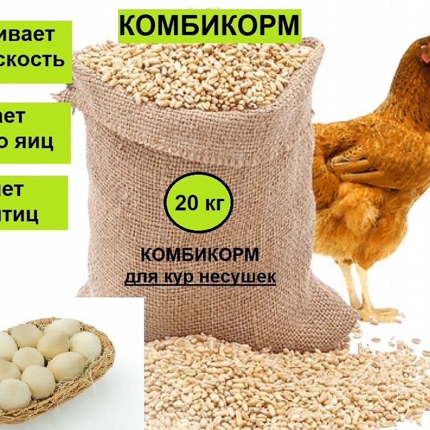 Комбикорм для кур несушек