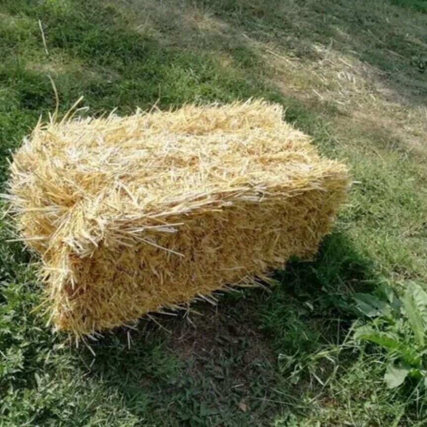 Пшеничная солома в тюках