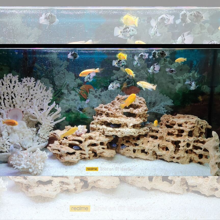 Грунт, камни, крышка для аквариума