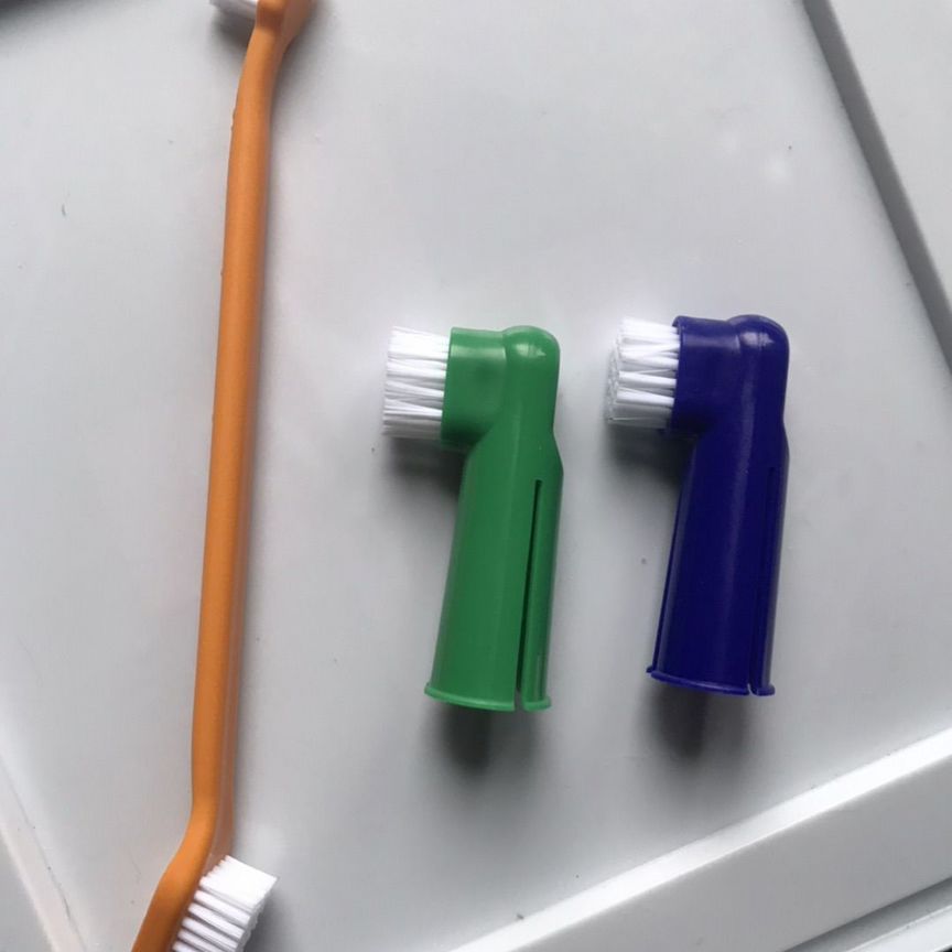 Зубная щетка для собаки