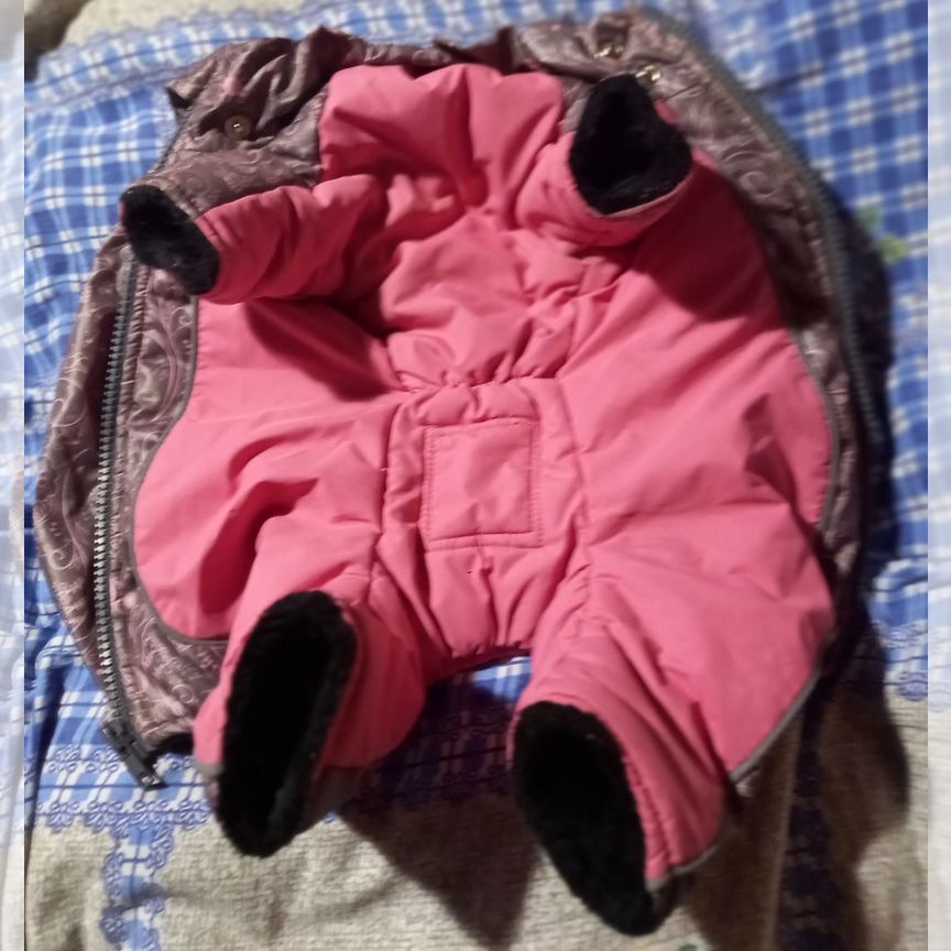 Одежда для собак мелких пород зима девочка