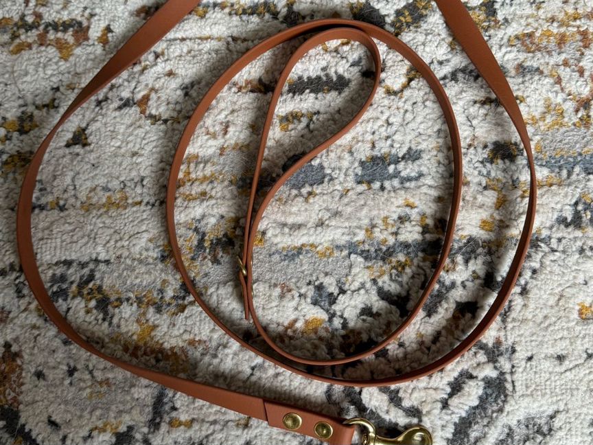 Биотановый поводок arctic lion