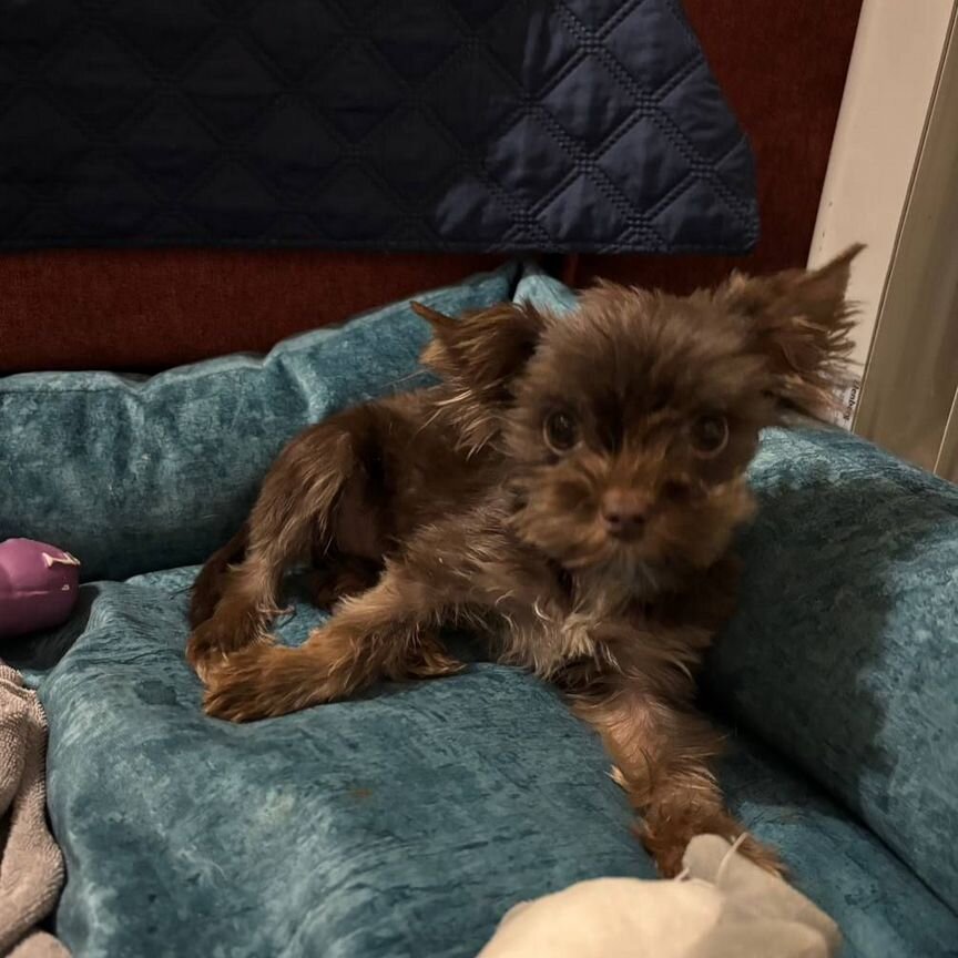 Биро супер мини