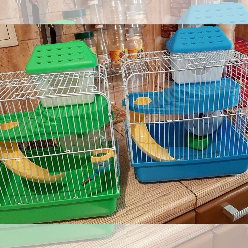 2 новые клетки