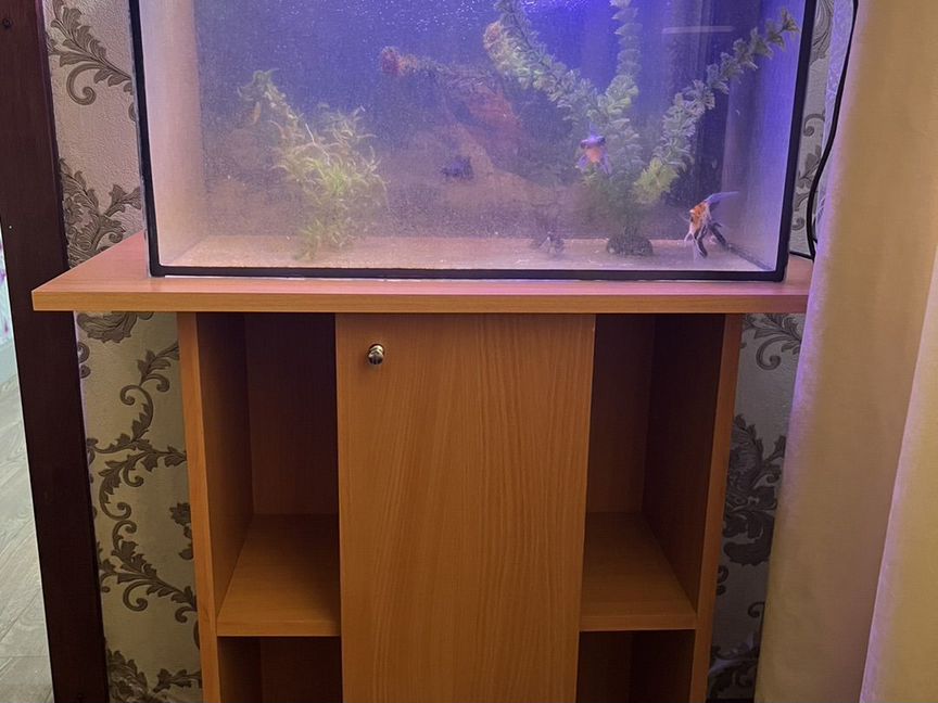 Аквариум с рыбками 60л