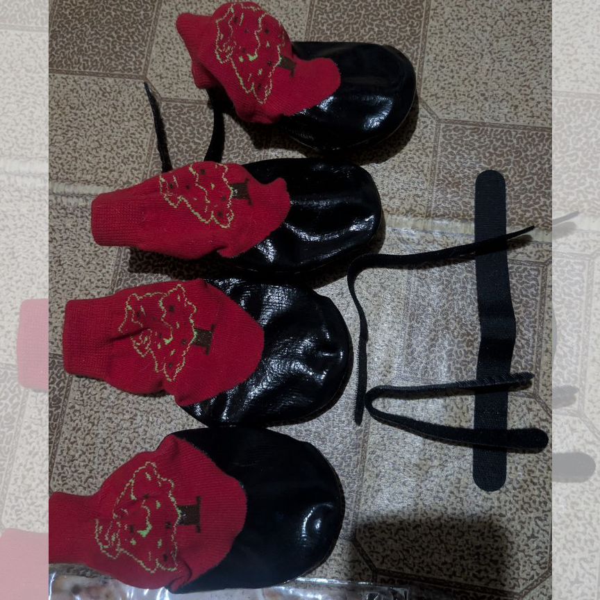 Носки для собак