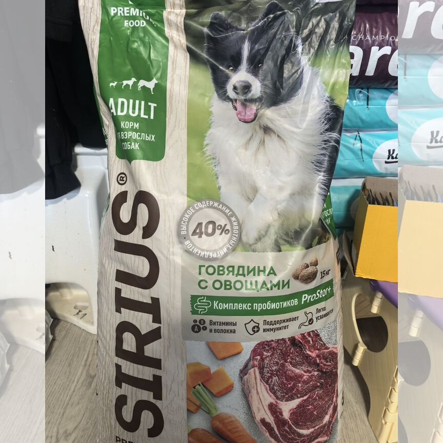 Корм для собак