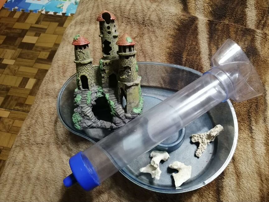 Для аквариума