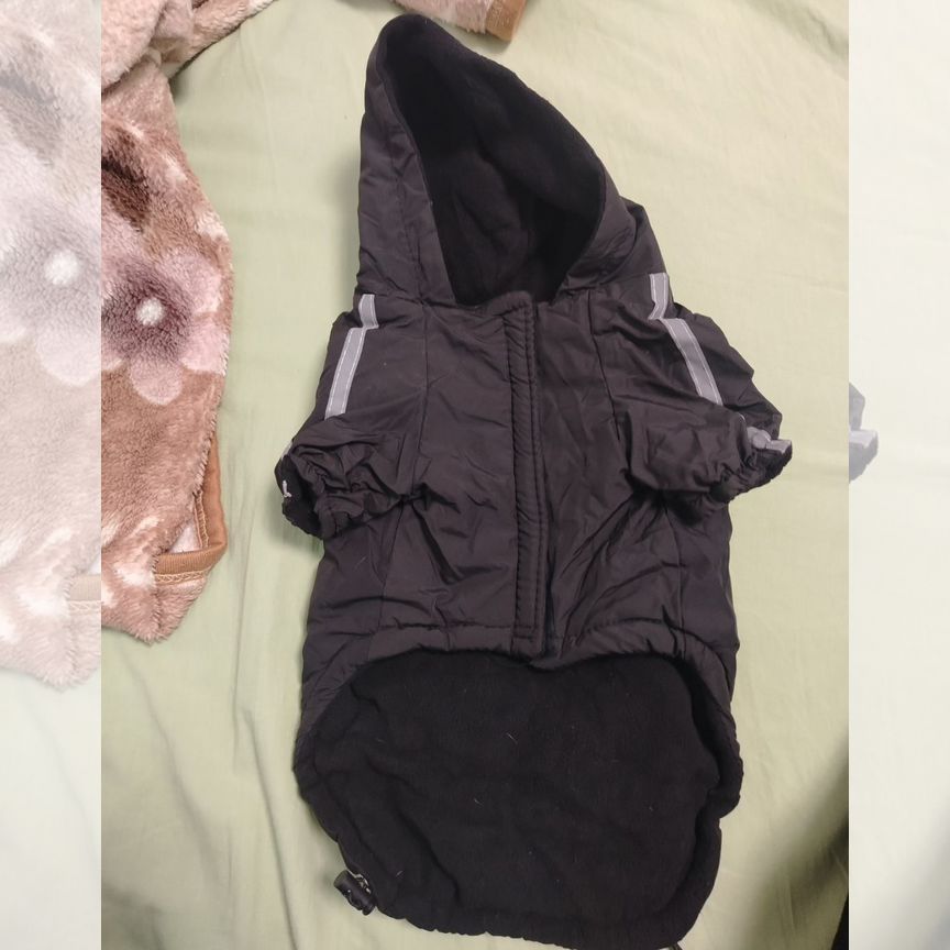 Зимняя одежда для собак