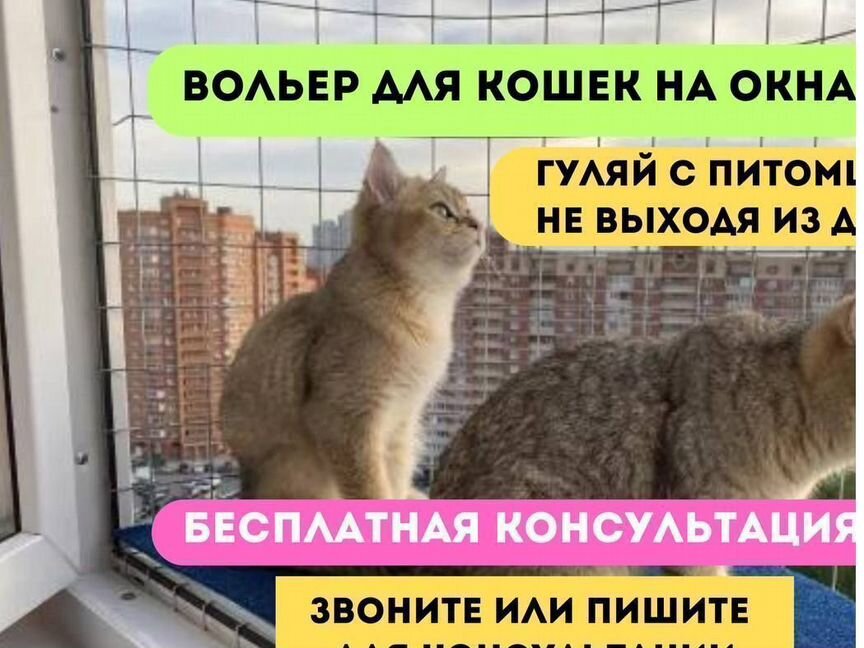 Балкон для кошек