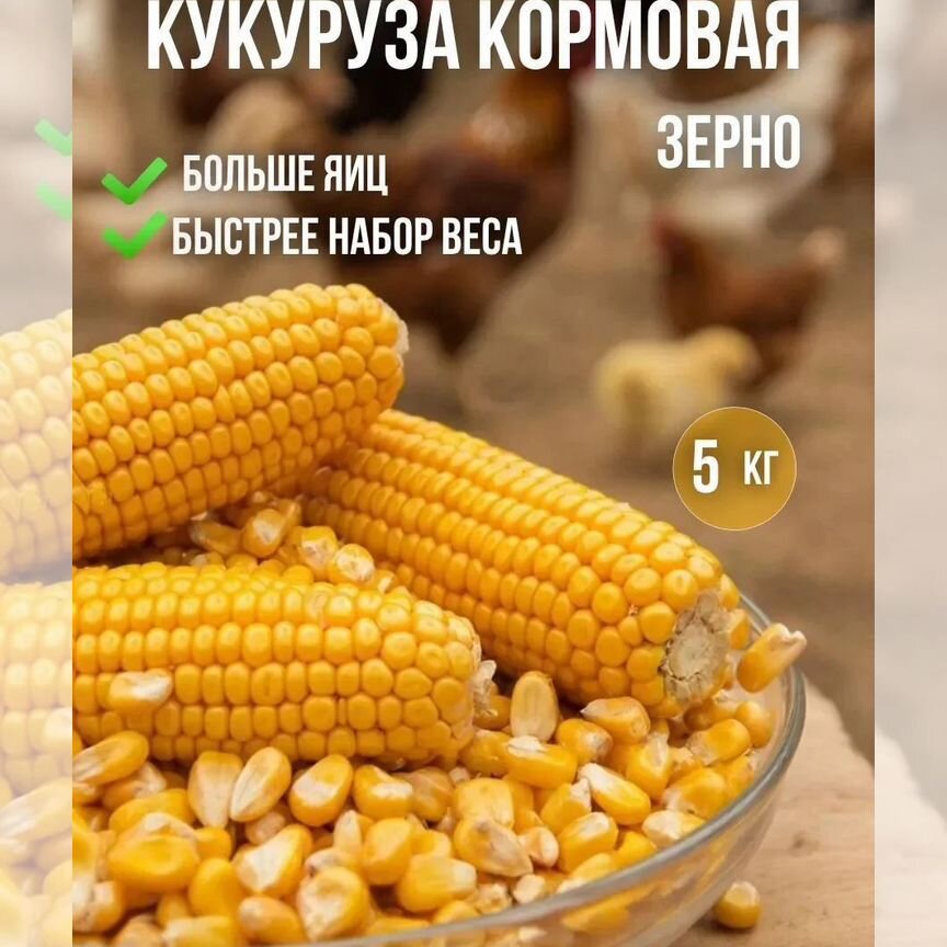 Кукуруза целая привезу
