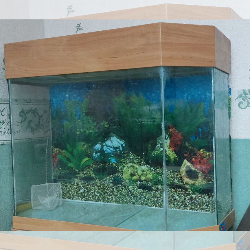 Аквариум с тумбой 100л бу