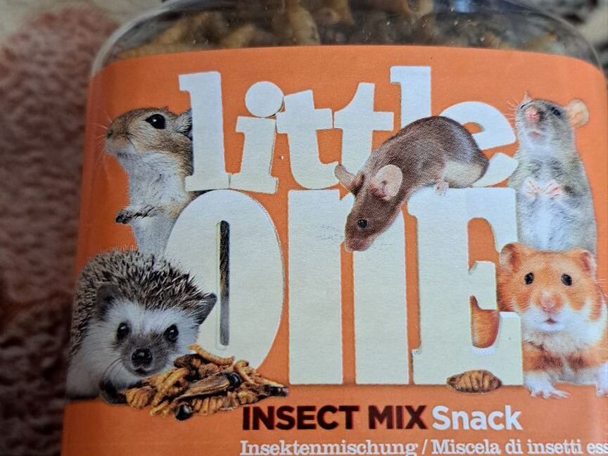 Смесь насекомых для грузунов