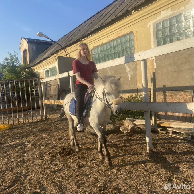 Катание на пони