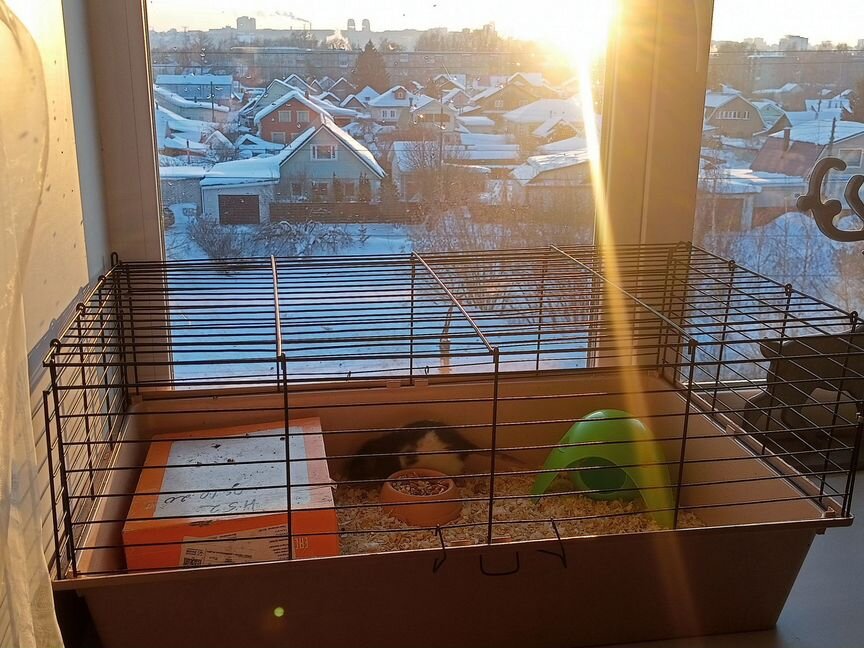 Клетка для грызунов