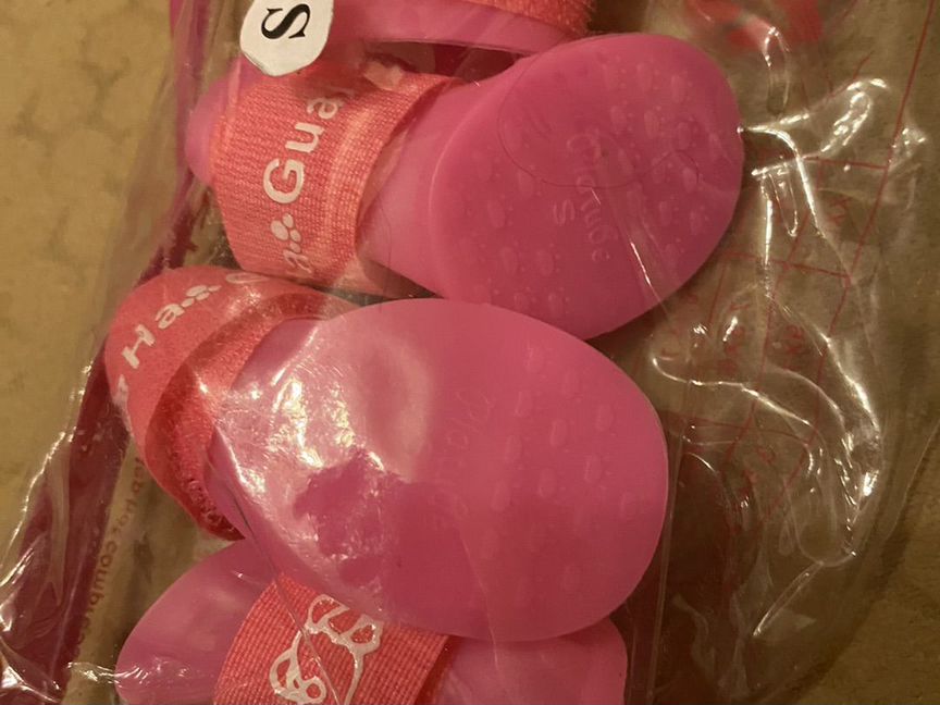 Обувь для собак мелких пород