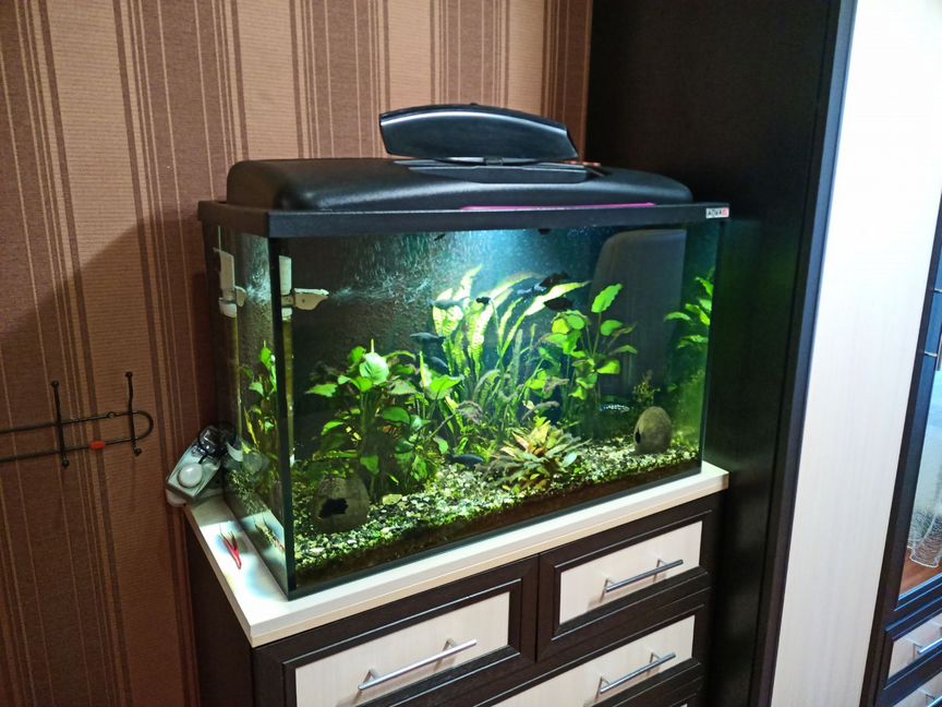 Аквариум полный комплект