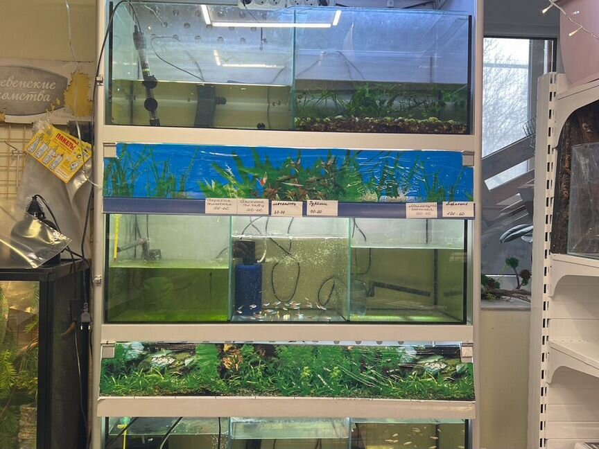 Аквариумная стойка