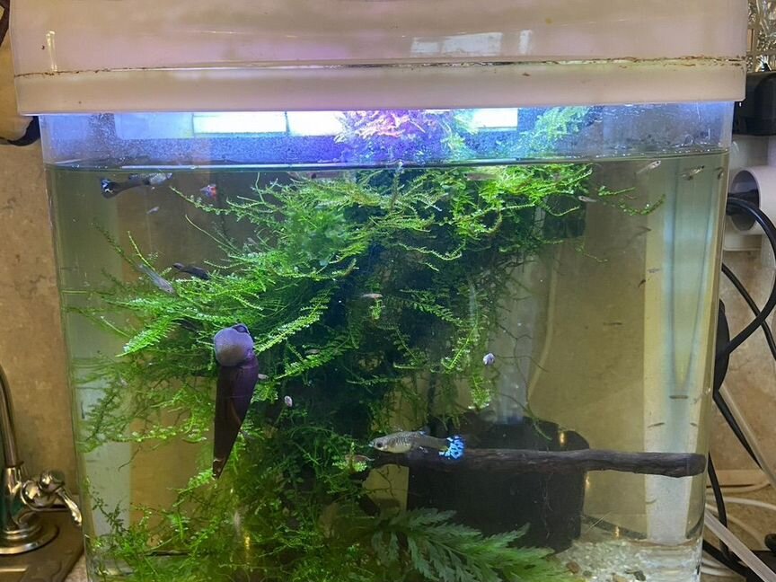 Аквариум RS Electrical RS-300A