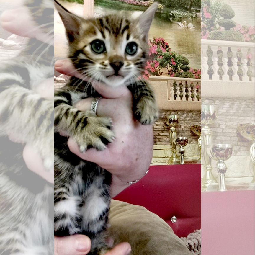 Настоящий мужчина