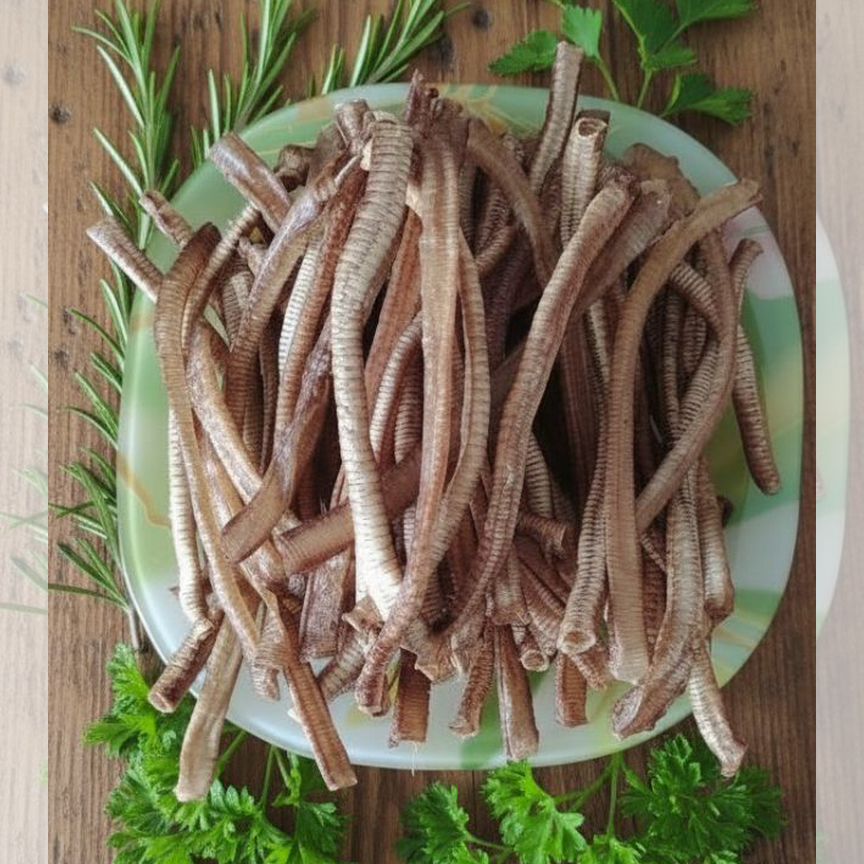 Трахеи утиные