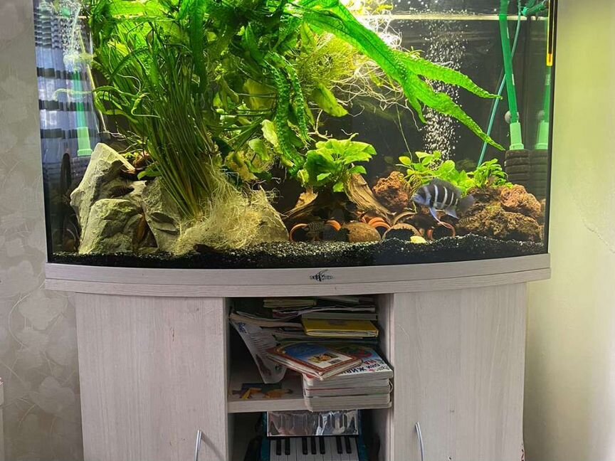 Аквариум с тумбой