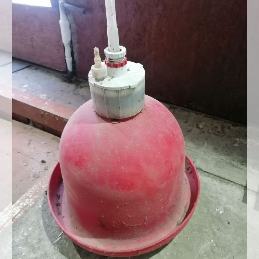 Автоматическая поилка