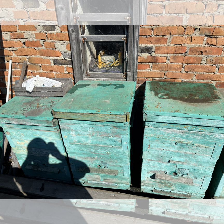 Ульи для пчел