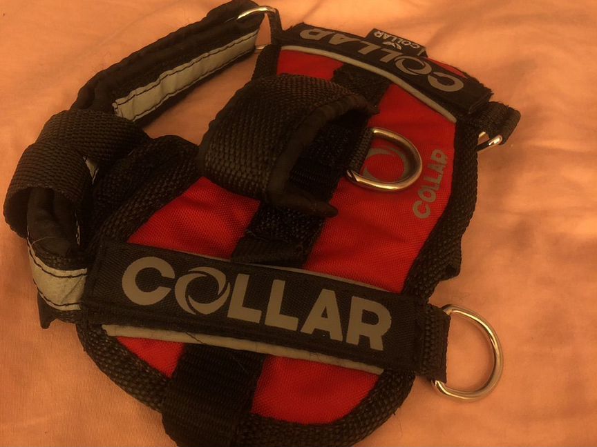 Шлейка для собаки collar