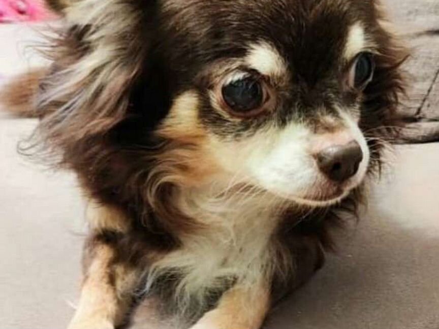 Малышка в опастности