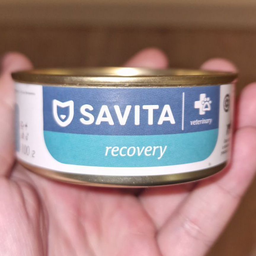 Savita Recovery