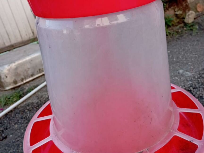 Кормушка для куриц