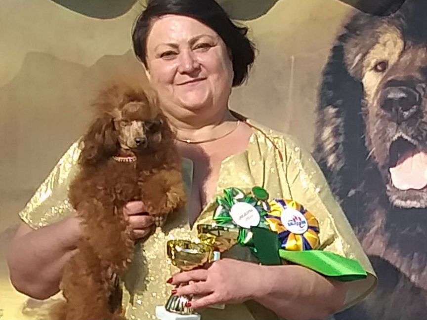 Ждем невест