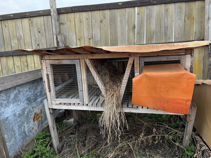 Крольчатник с маточником 2шт