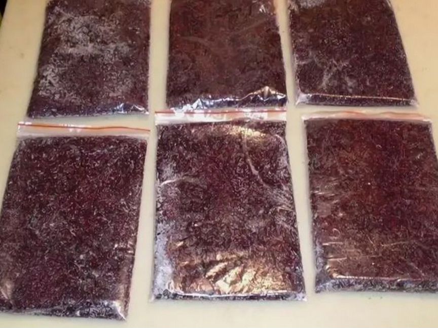 Мотыль мороженный