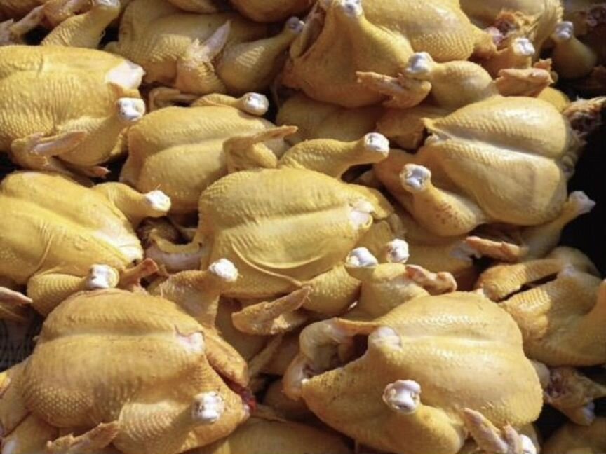 Куры бройлеры