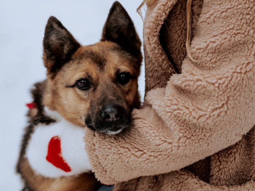 Варя покорит Ваше сердце