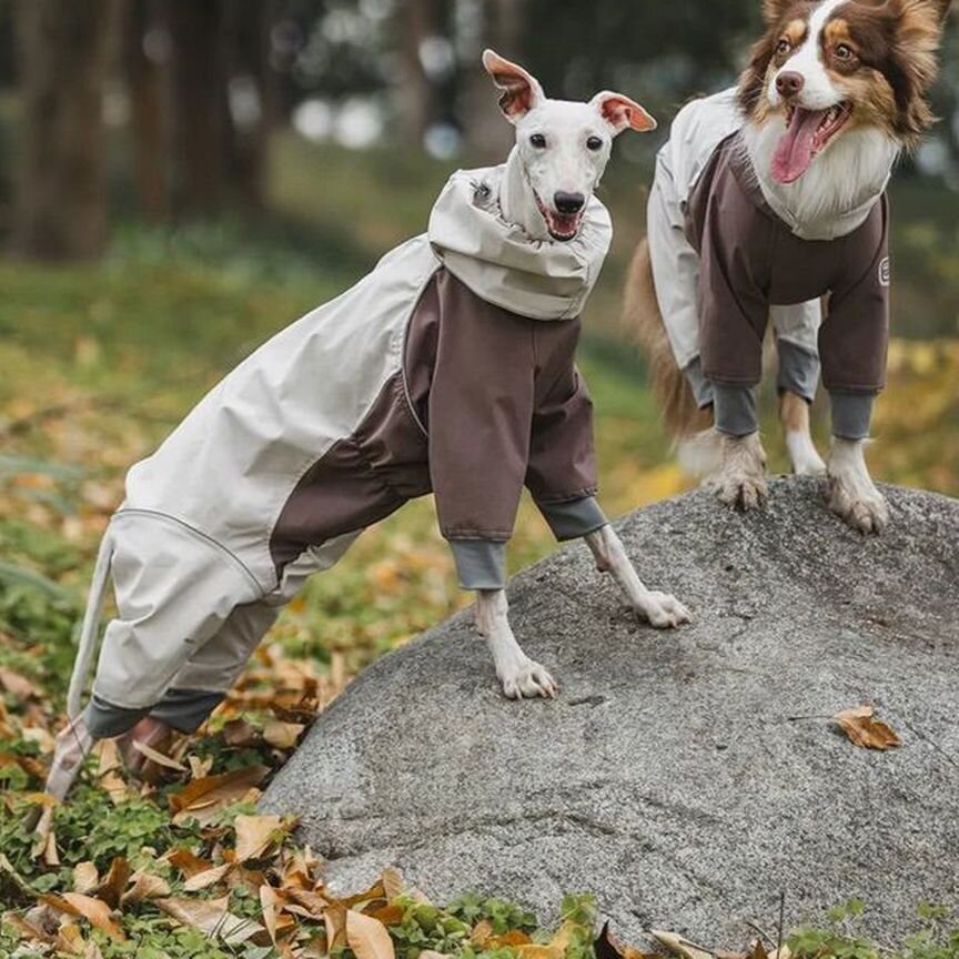 Дождевик для собаки
