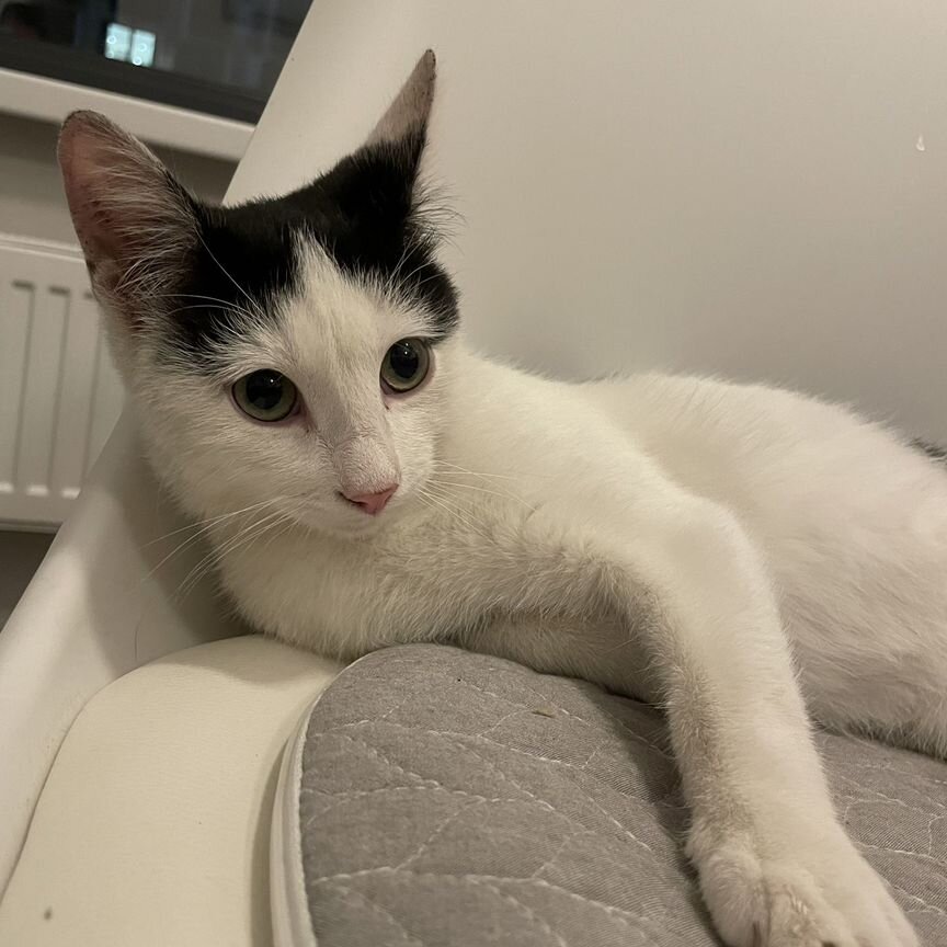 Неужели я никогда не найду дом