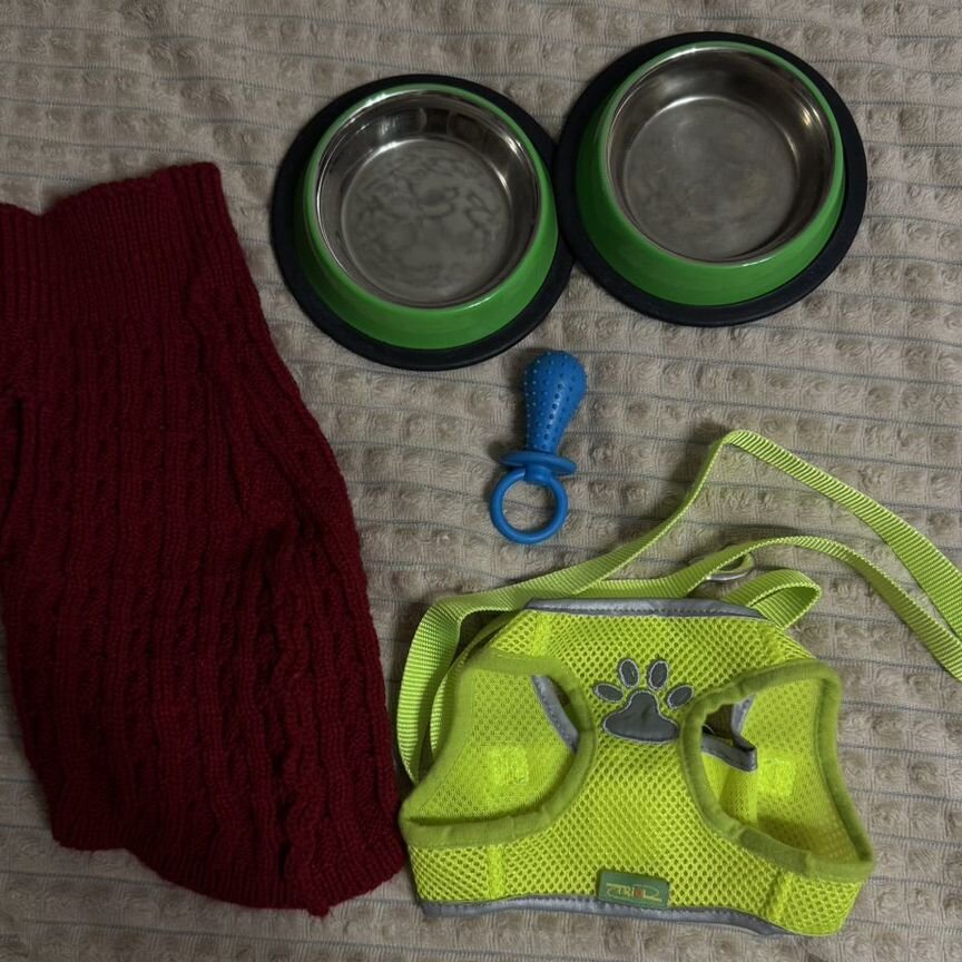 Для собаки в одни руки