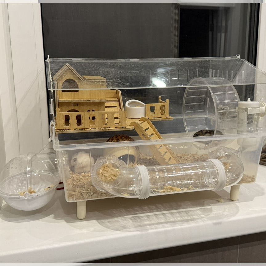 Клетка для хомяков и 2 хомяка