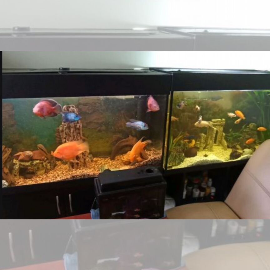 Аквариум 150л и 200 л
